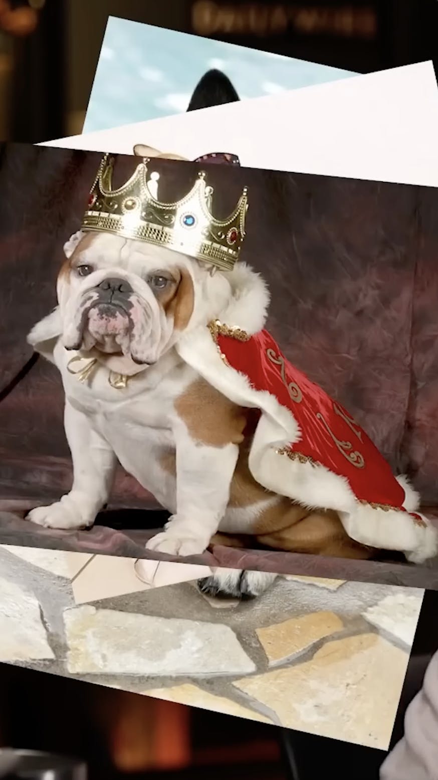 This Is Insanity, Make It Stop